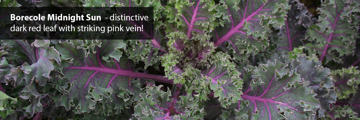 Conventional vegetables