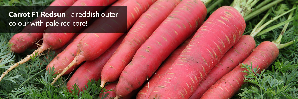 Conventional vegetables