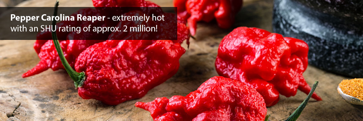 Conventional vegetables