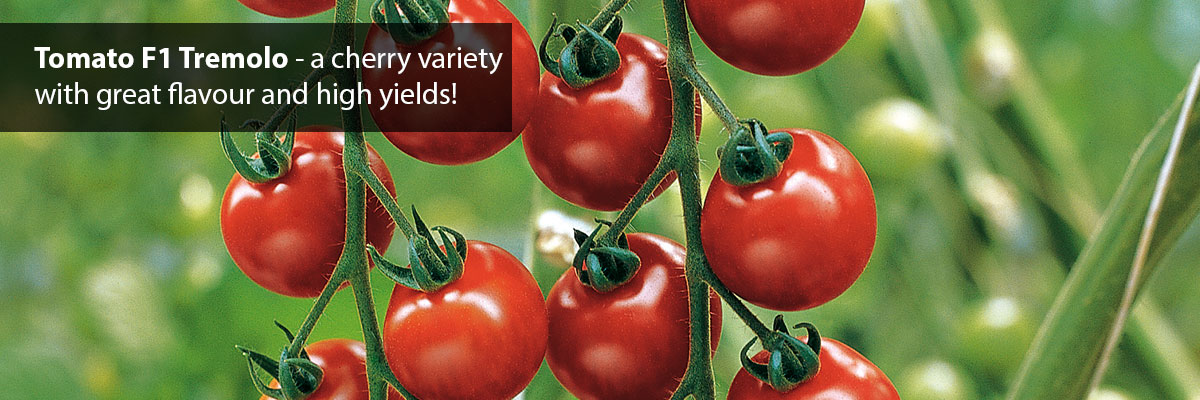 Conventional vegetables